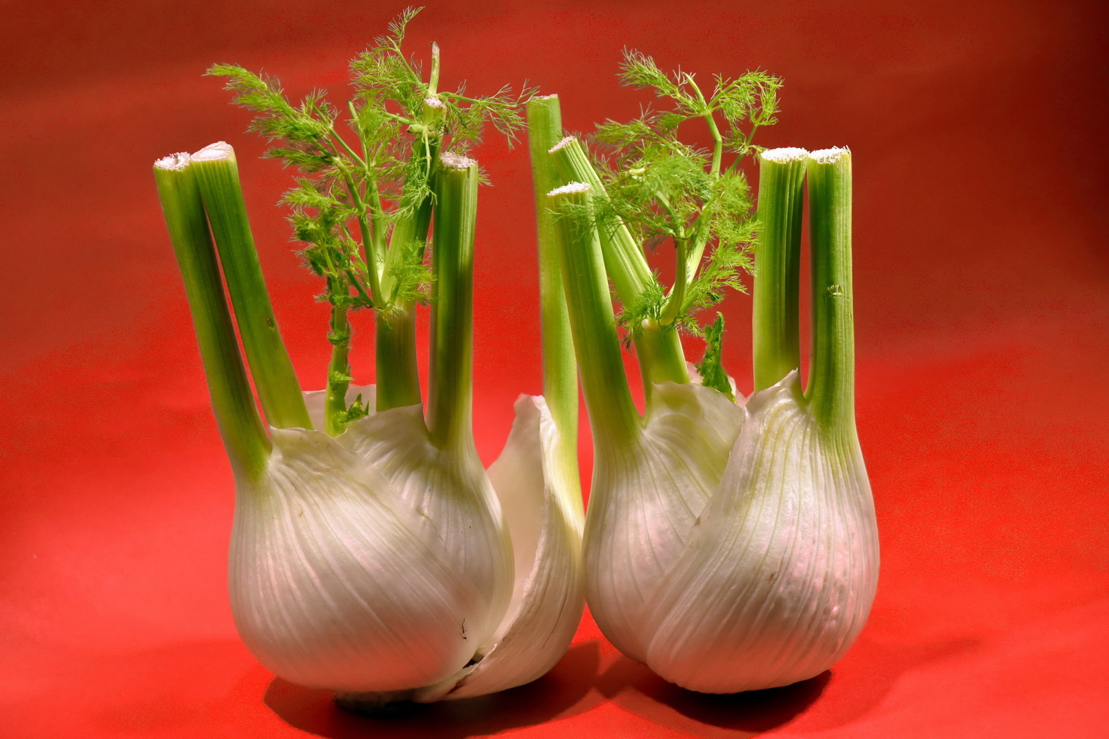 Rémy – Fruits et légumes – Grand'Angles