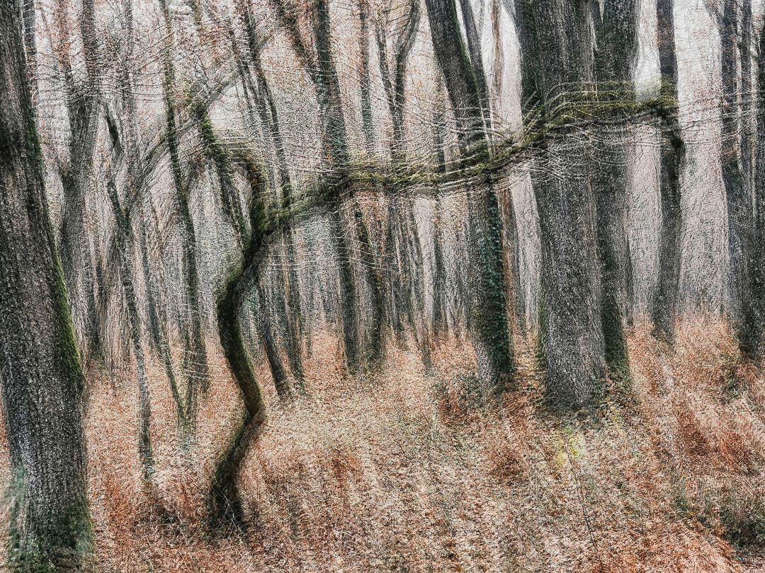 Richard Wakeford – Grand'Angles